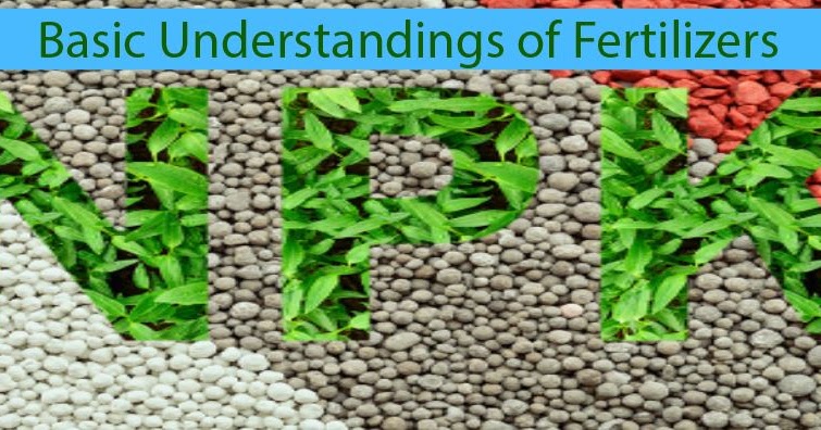Basic Understanding of Fertilizers