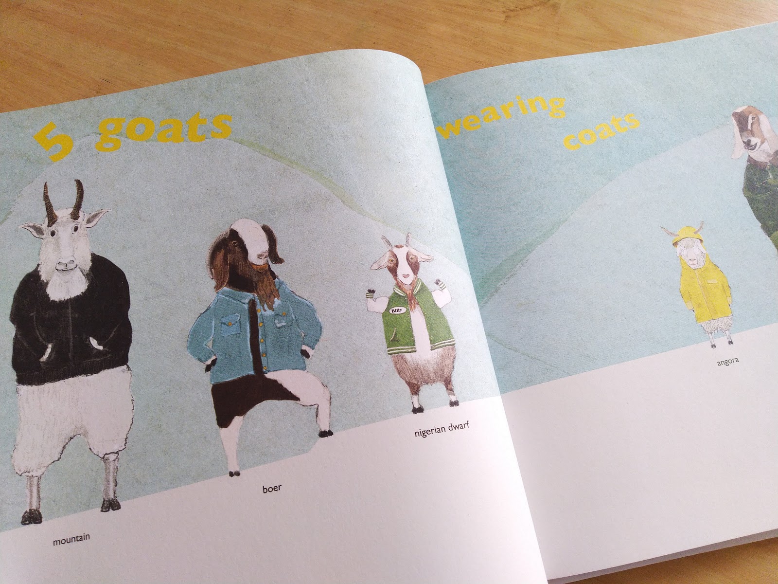 [英文繪本分享] 1 to 20 Animals Aplenty / Katie Viggers