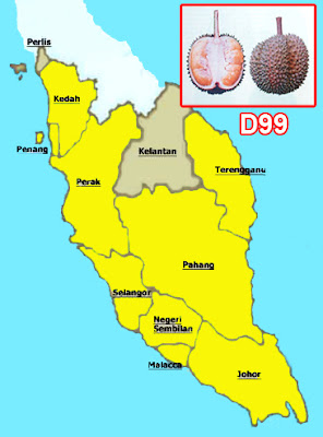 Durian Info: Durian Varieties In Malaysia
