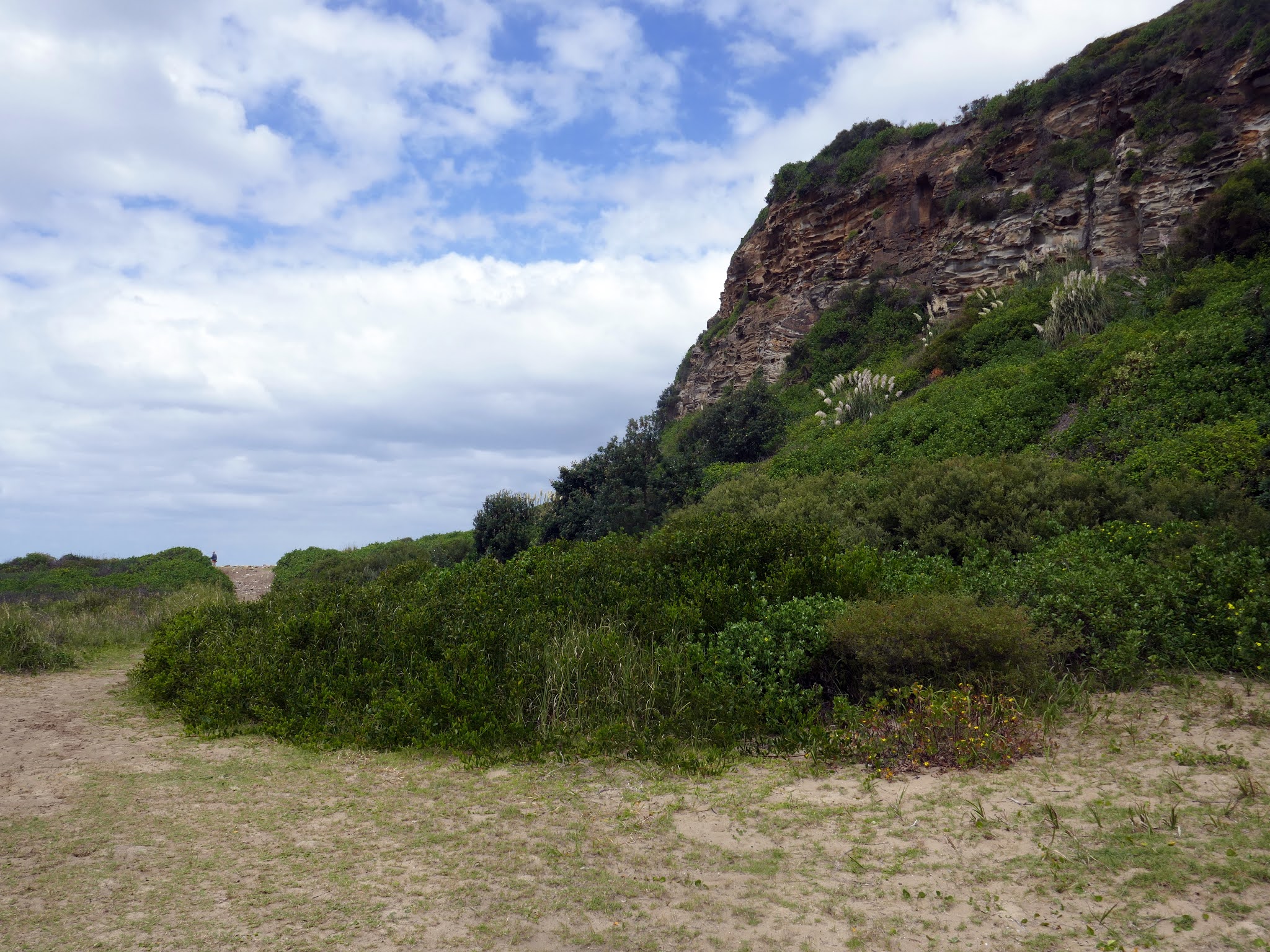 All The Gear But No Idea: Caves Beach & The Wallarah Coast