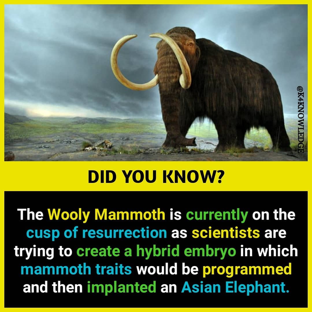 New Amazing Facts Collection Download With Images