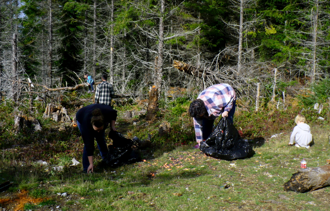 Target shooters assist forest agency to close unsafe shooting sites ...