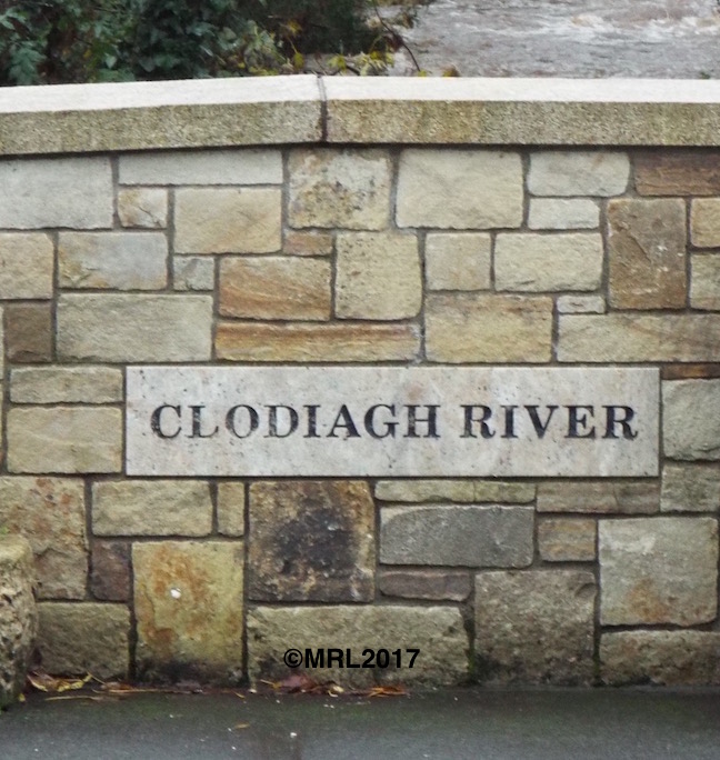 A Heron's View: A Watery Awakening!