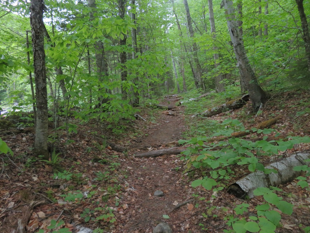 Mountain Wandering: Dry River Trail: 5/27/21