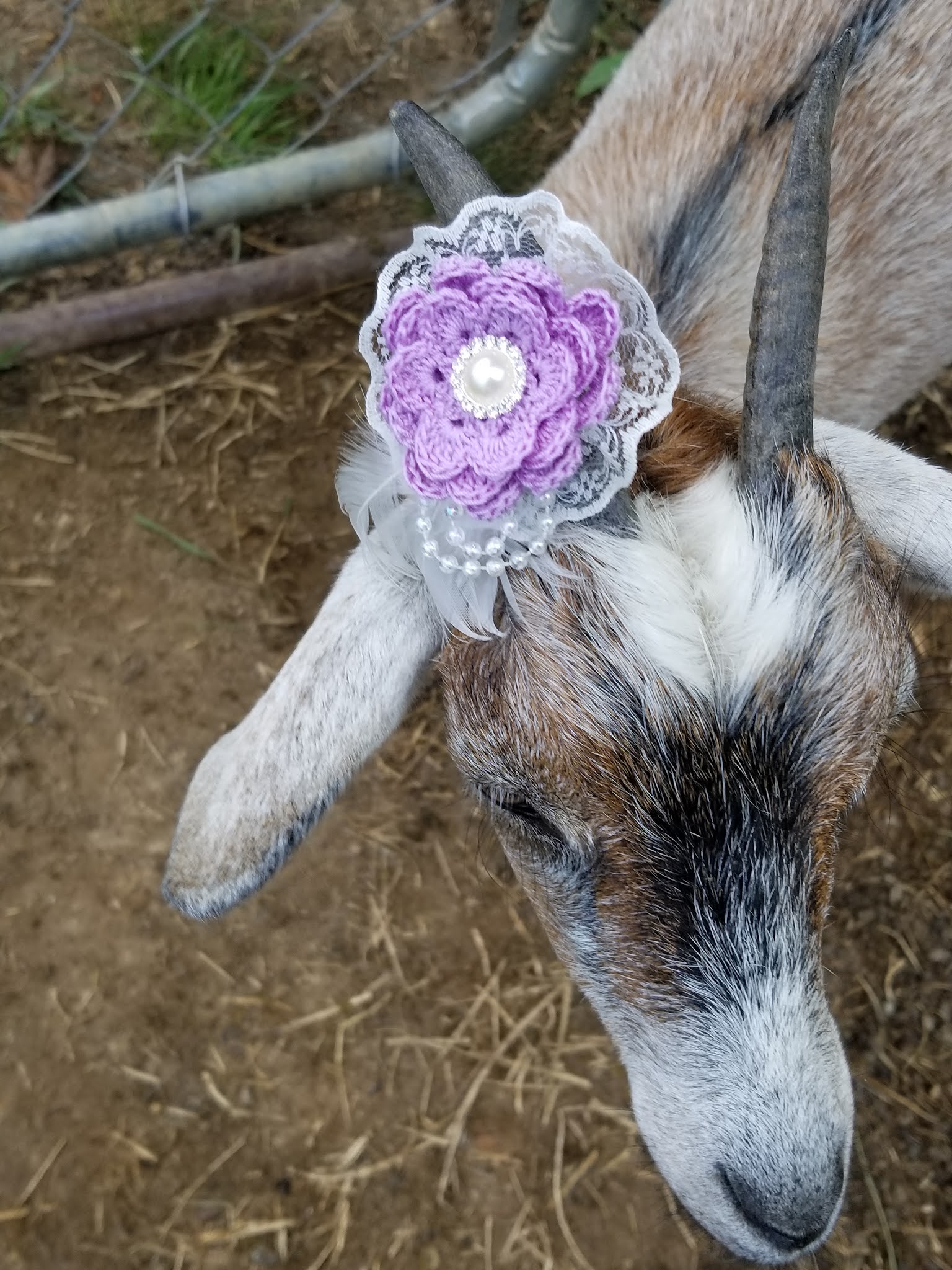 Bare Moose Jewelry On Etsy: Crochet and Lace Goat Horn Flower