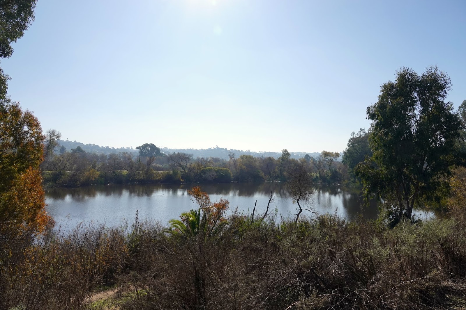 Looking for Ponds: Bonita Morrison