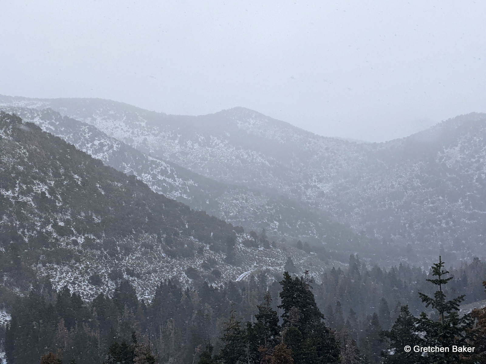 Desert Survivor: Kalamazoo Road, White Pine County, Nevada