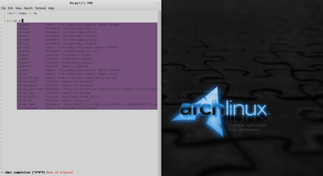 Embedded Programmer Vim For Python Development
