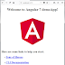 Angular 7 CRUD Example with Angular CLI and TypeScript - Interview ...