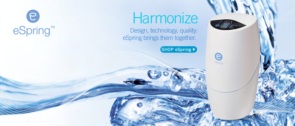 New item & Used item Waiting for You to Grab !: Amway Espring Mini Demo ...