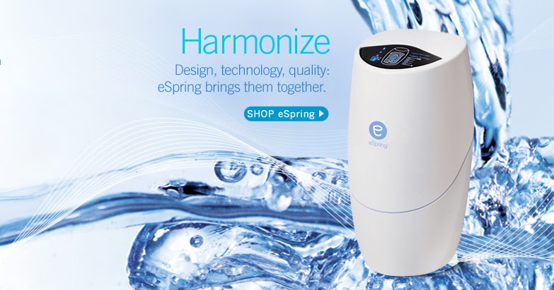 New item & Used item Waiting for You to Grab !: Amway Espring Mini Demo ...