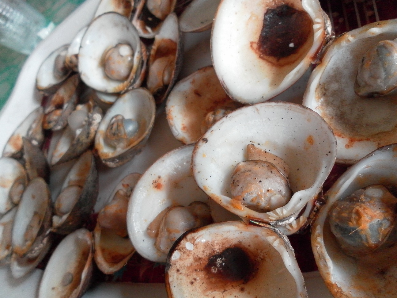 Me-Myself-I: Food around Kota Kinabalu