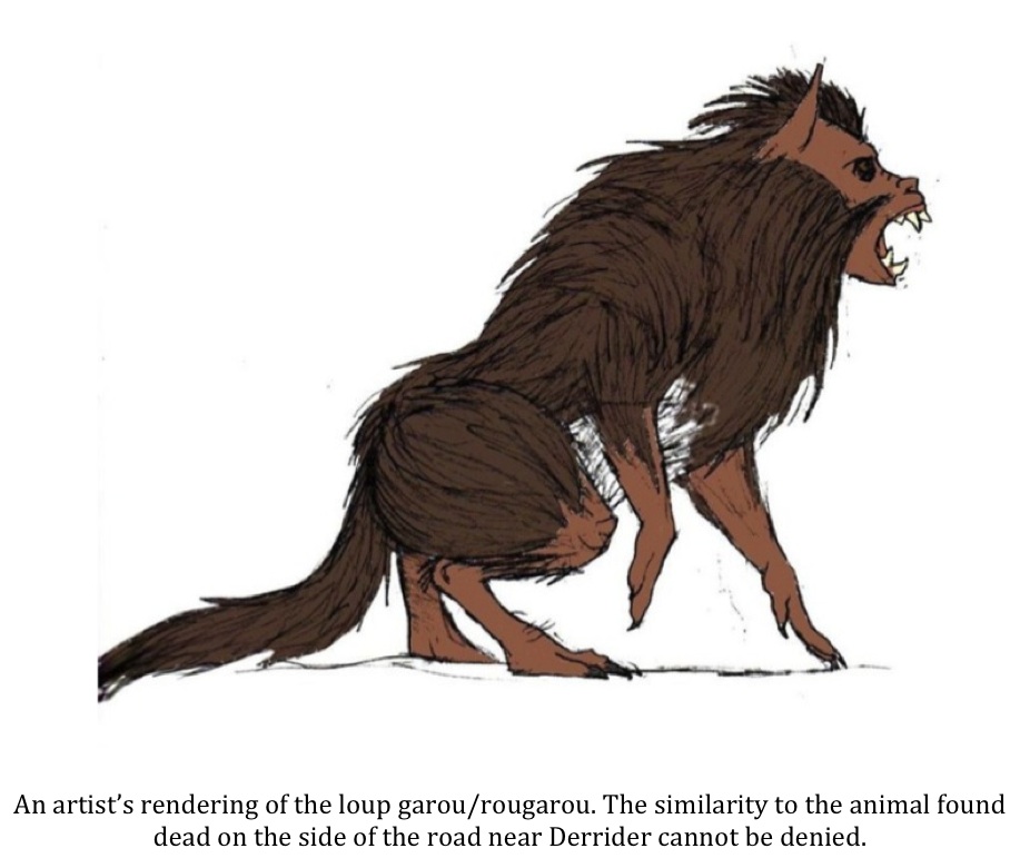 Texas Cryptid Hunter: The Swamp Monsters of Cajun Louisiana