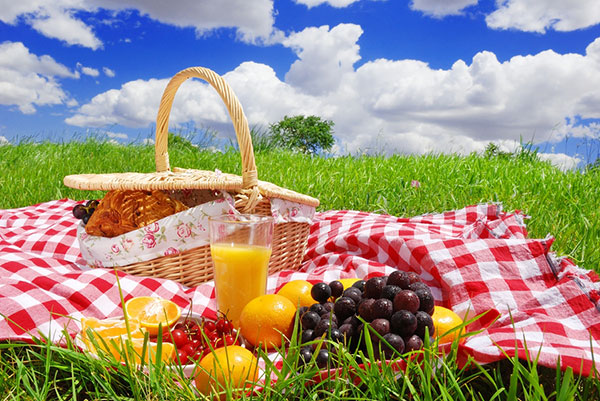 >>pic nic soleil et 22 degrés - OnVaSortir! Paris