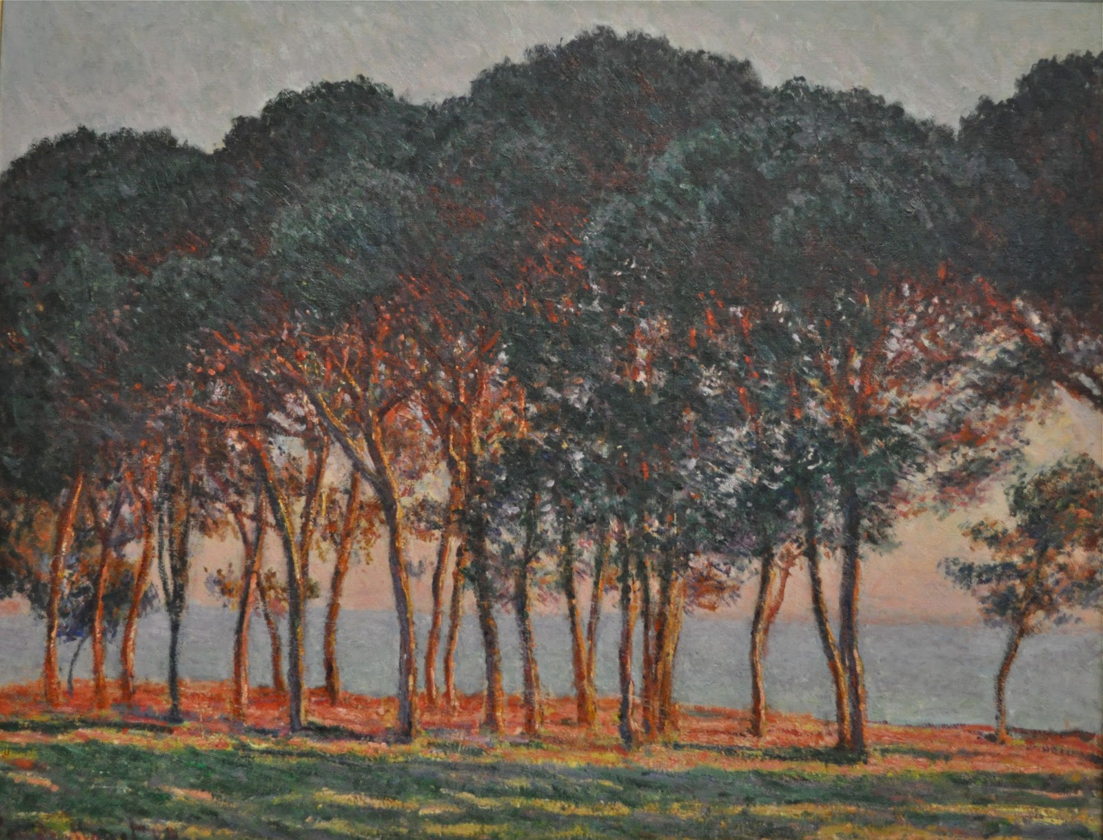 Wit's End: Where Have All the Forests Gone? Long Time Passing...Where ...