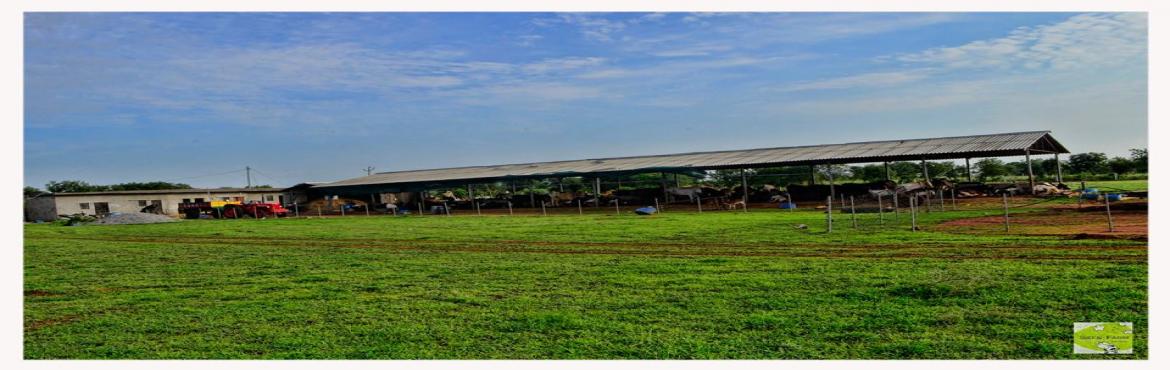 US Engineer's Dairy Farm