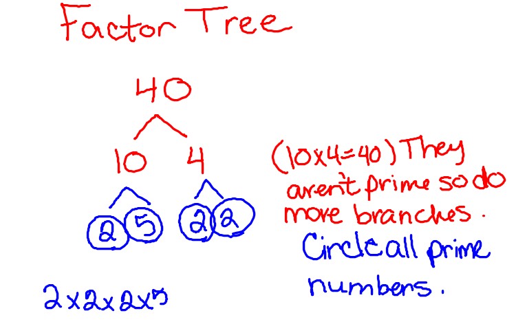 Mrs. Swickey's Class Blog: Wednesday, February 16th