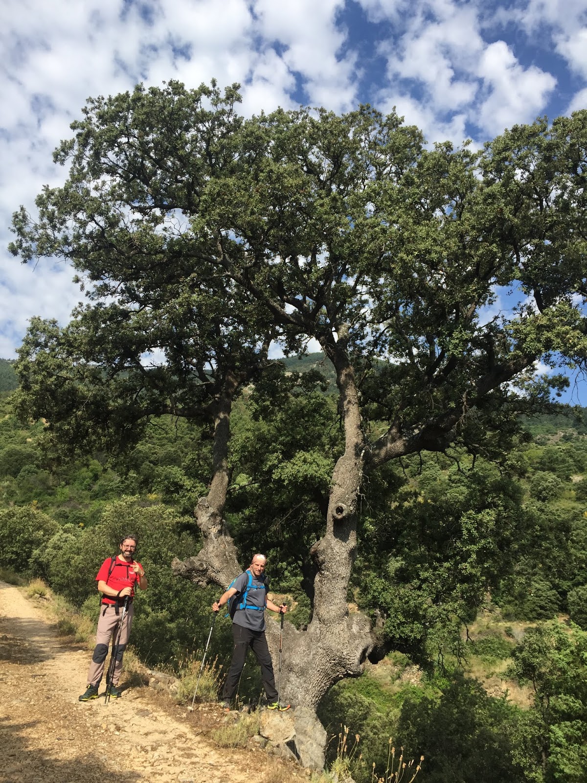 Morata de Jalon | Senderismo | Cenefos: INOGÉS