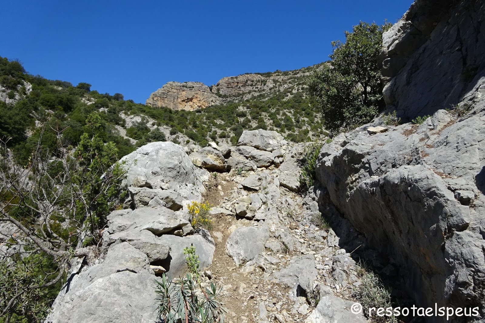 res sota els peus: Ruta circular al roc de Galliner, a la muntanya d'Alinyà