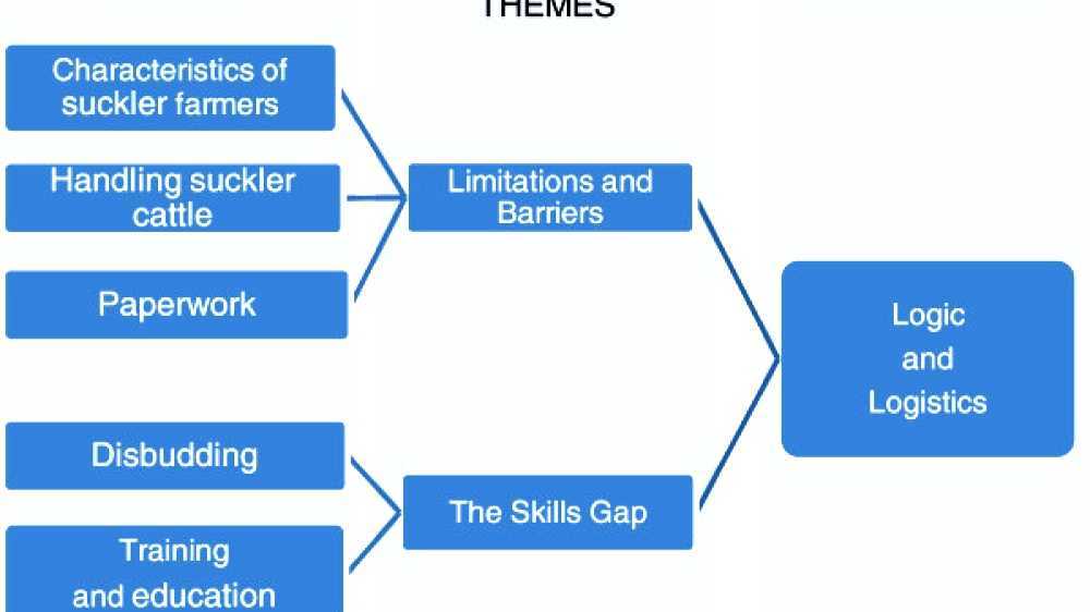 Thematic Analysis thematic-analysis