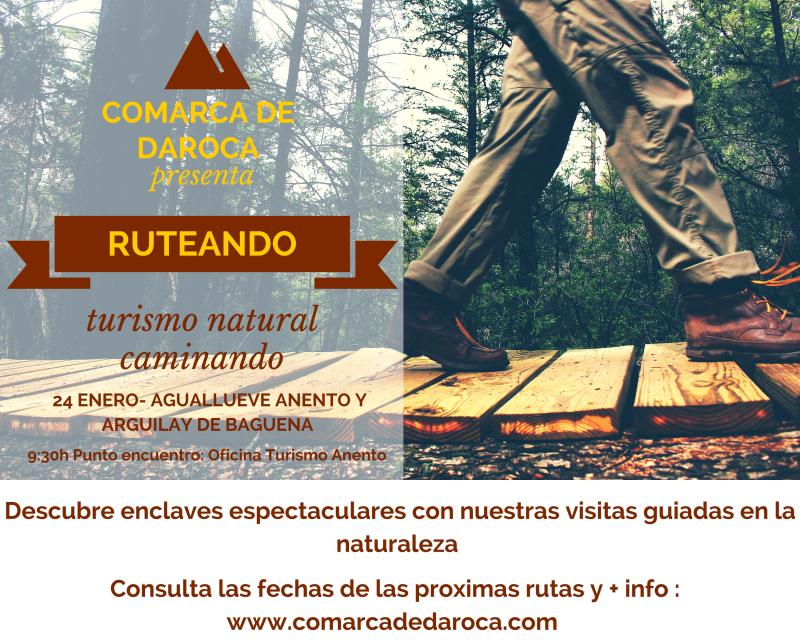 Natura Xilocae: RUTEANDO. CONOCER EL CAMPO DE DAROCA CAMINANDO