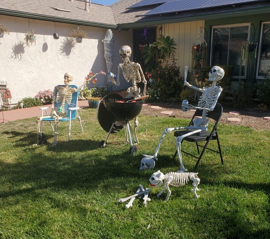 Runs for Cookies: Super Creative Skeleton Displays for Halloween! (repost)