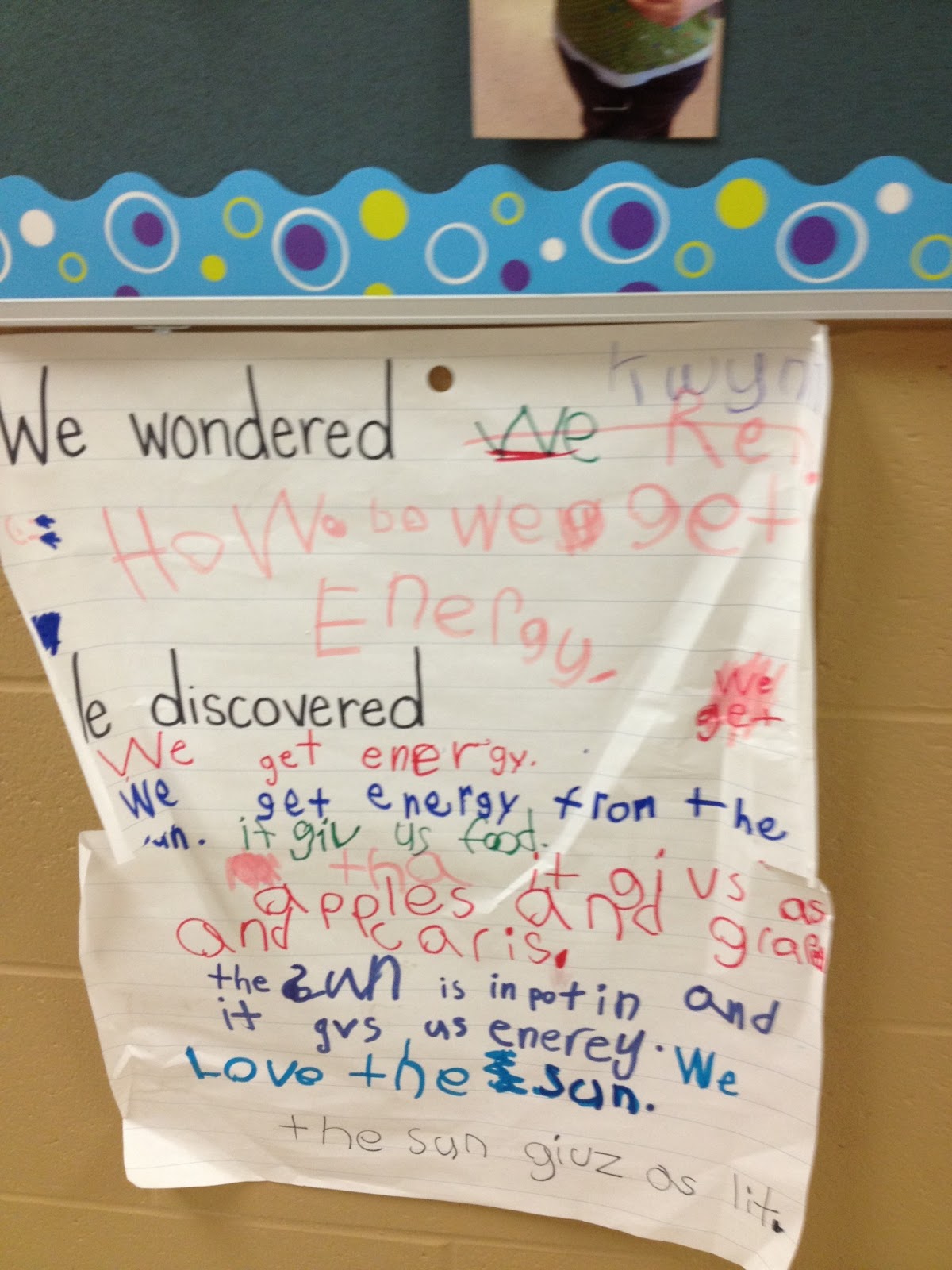 Wonder, Explore & Discover in Grade One: Our First Inquiry in Science!