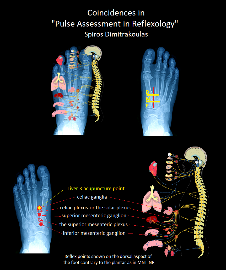 ΕΛΛΗΝΕΣ ΡΕΦΛΕΞΟΛΟΓΟΙ - GREEK REFLEXOLOGISTS: 2020
