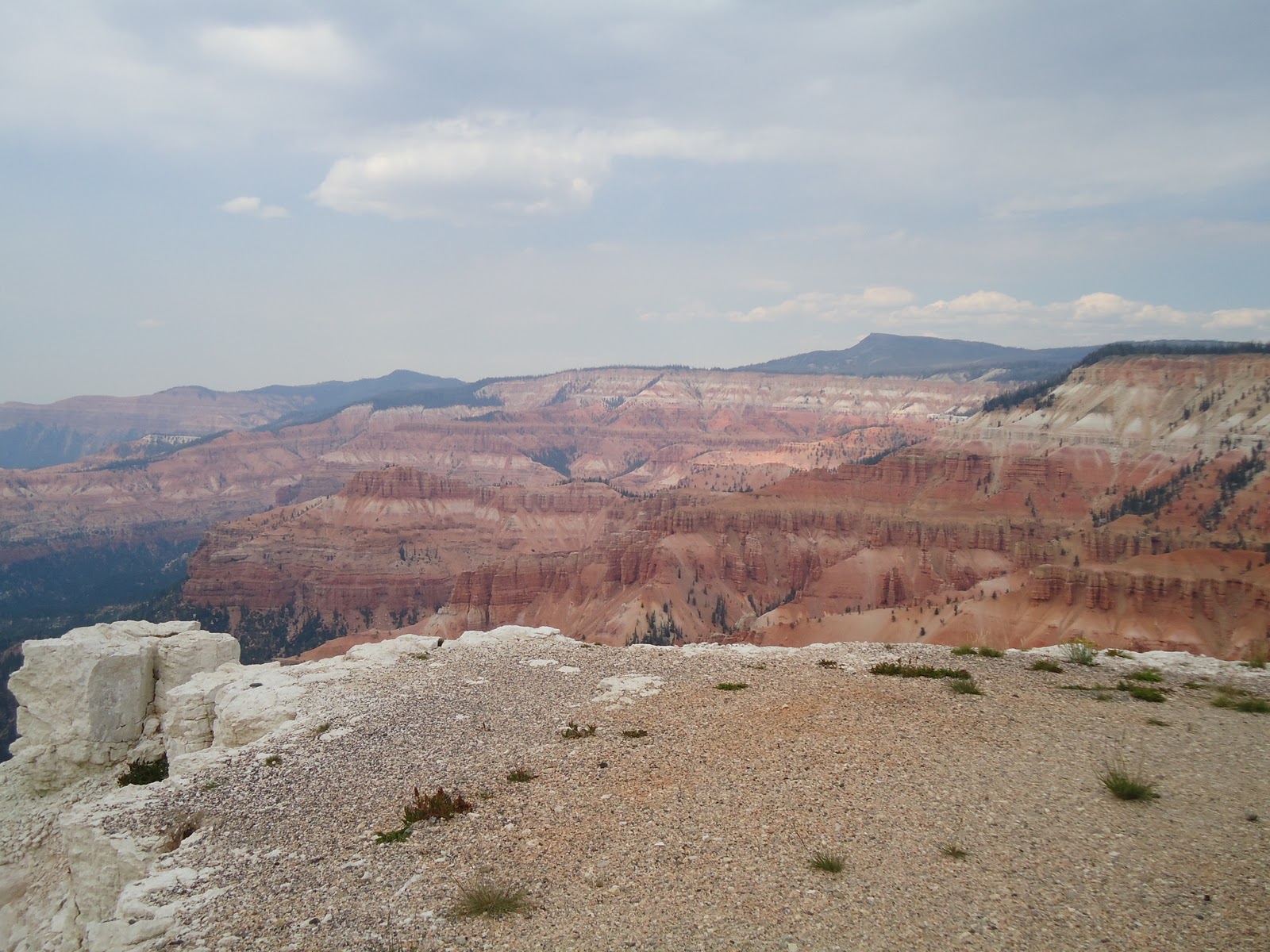 Peg in the Park: Cedar Breaks National Monument