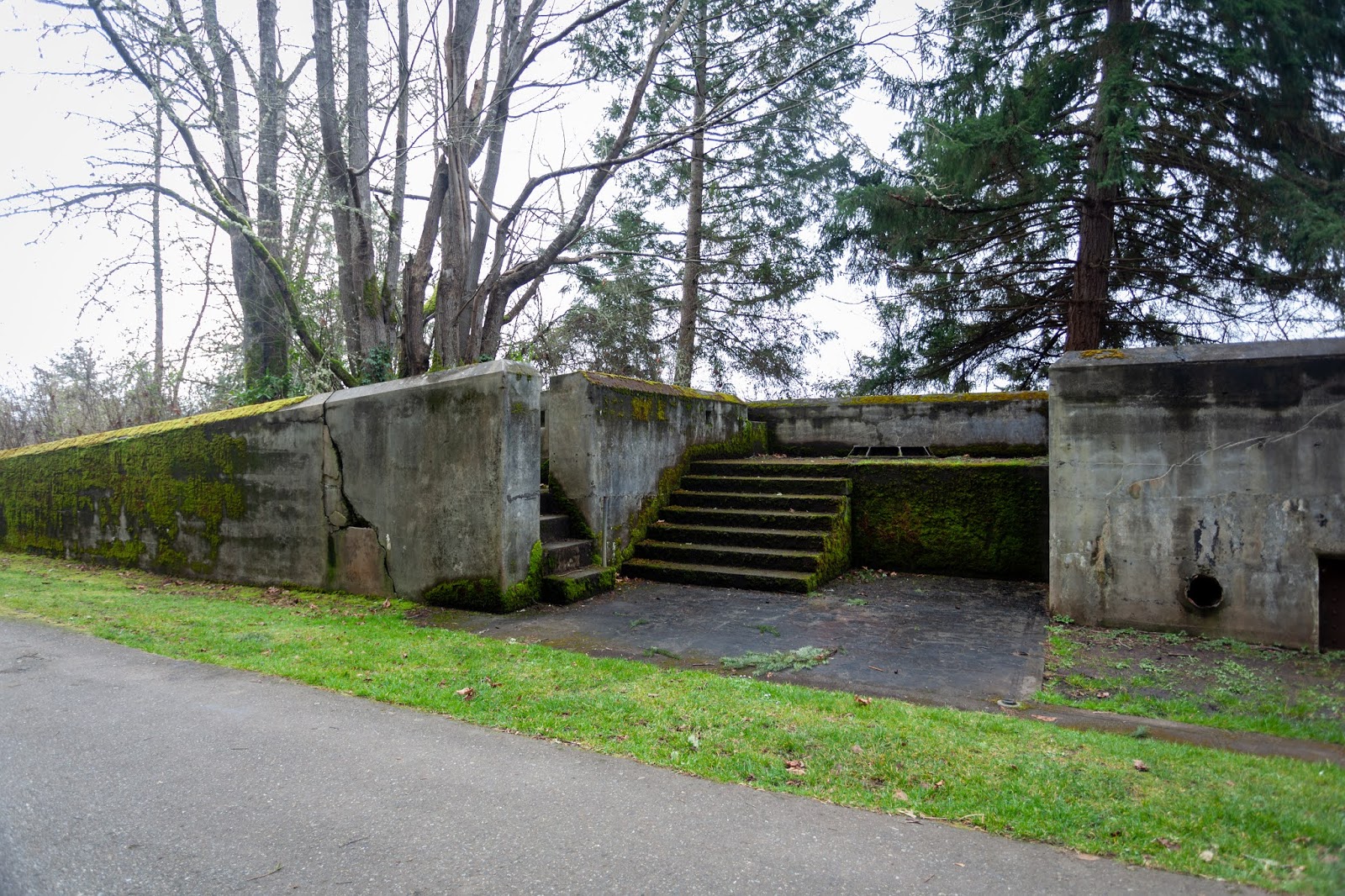 Bainbridge Island: South Island Trails - Old Military Bunkers - Parks ...