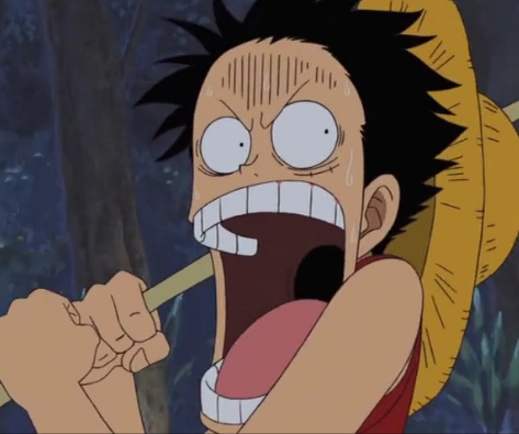 My life, My rule, My history.: Luffy Funny face