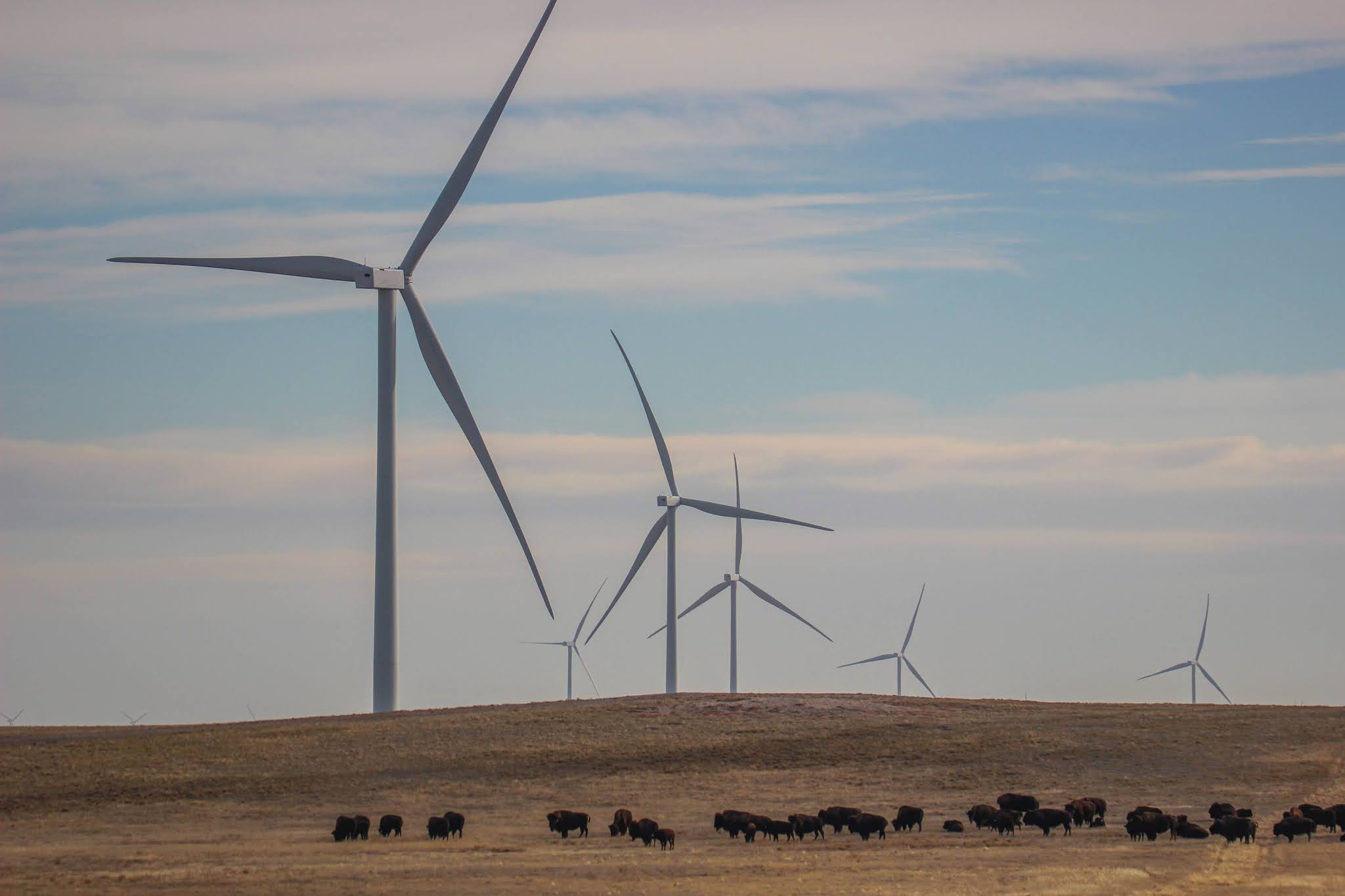 Cannundrums: Panorama Point - Nebraska High Point