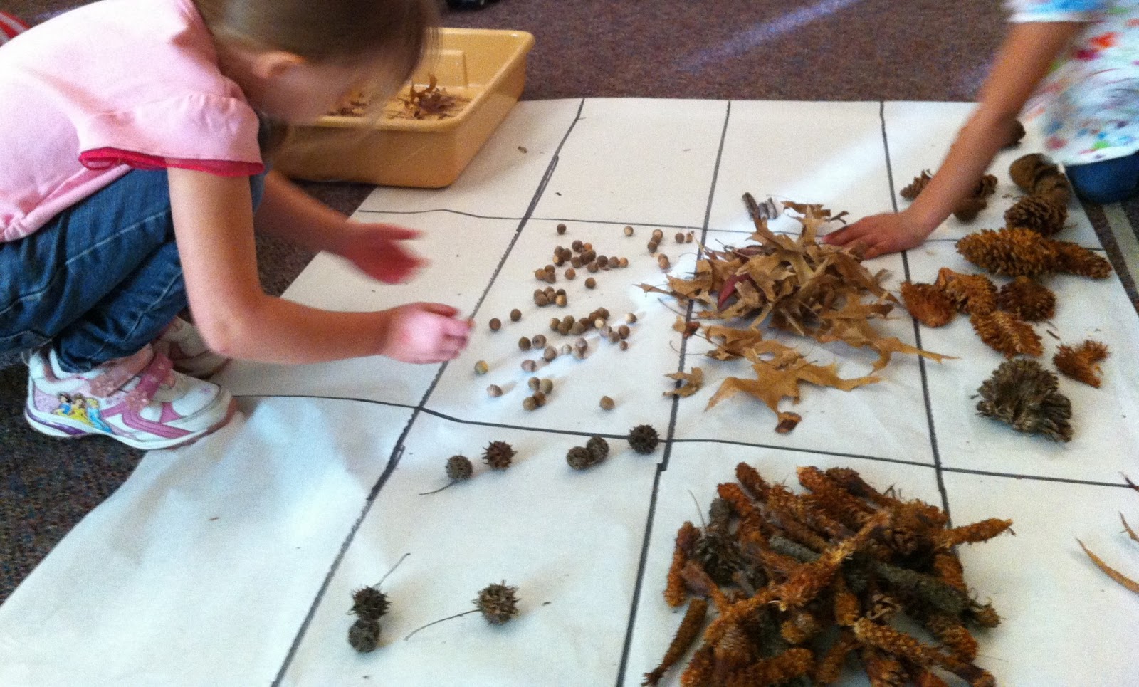 The Simplicity of Learning: Nature Walk