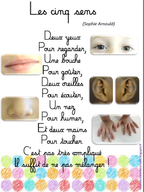 LaCatalane à la maternelle...: Comptine : "Les cinq sens"