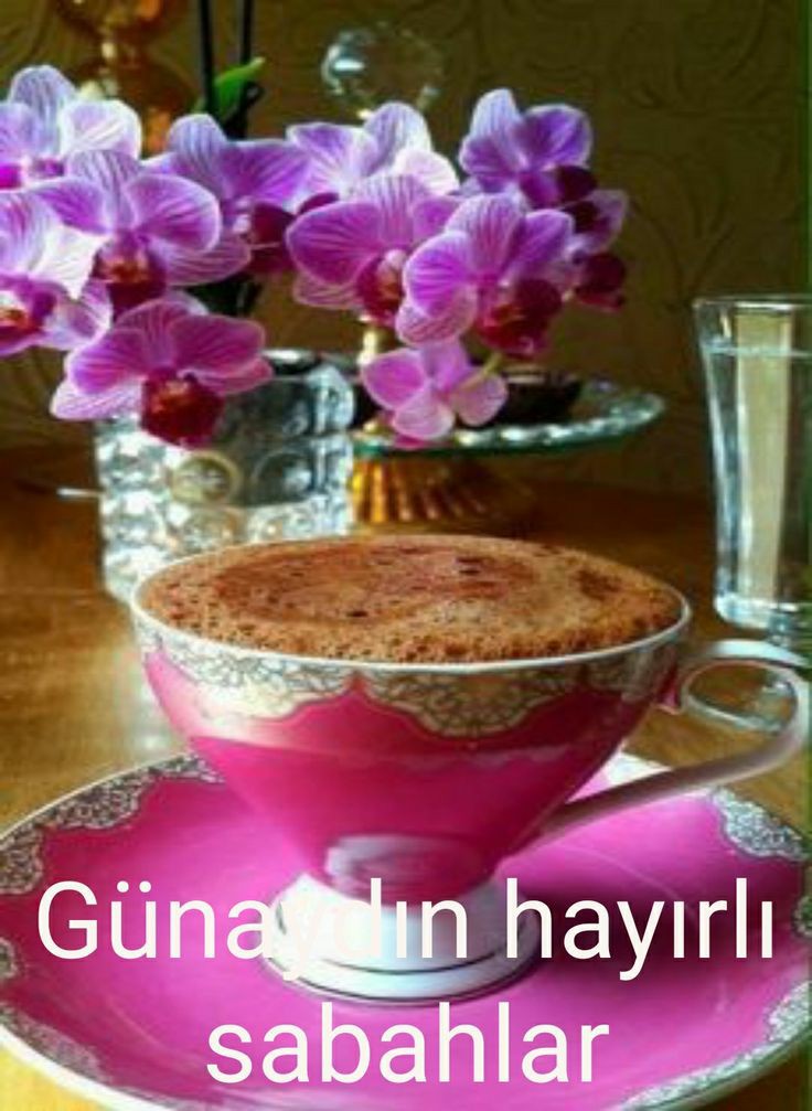 DLA KAŻDEGO: GUNAYDIN