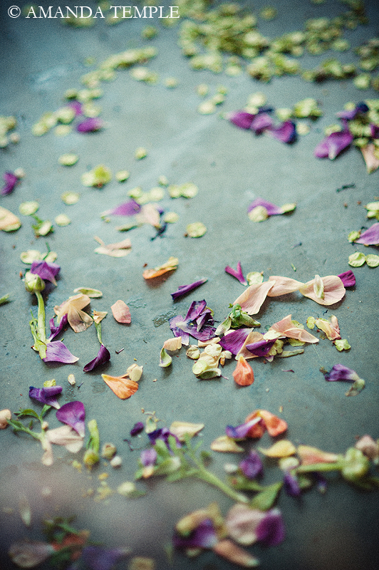 Petals - Bermuda Florist: The Agony and The Ecstasy