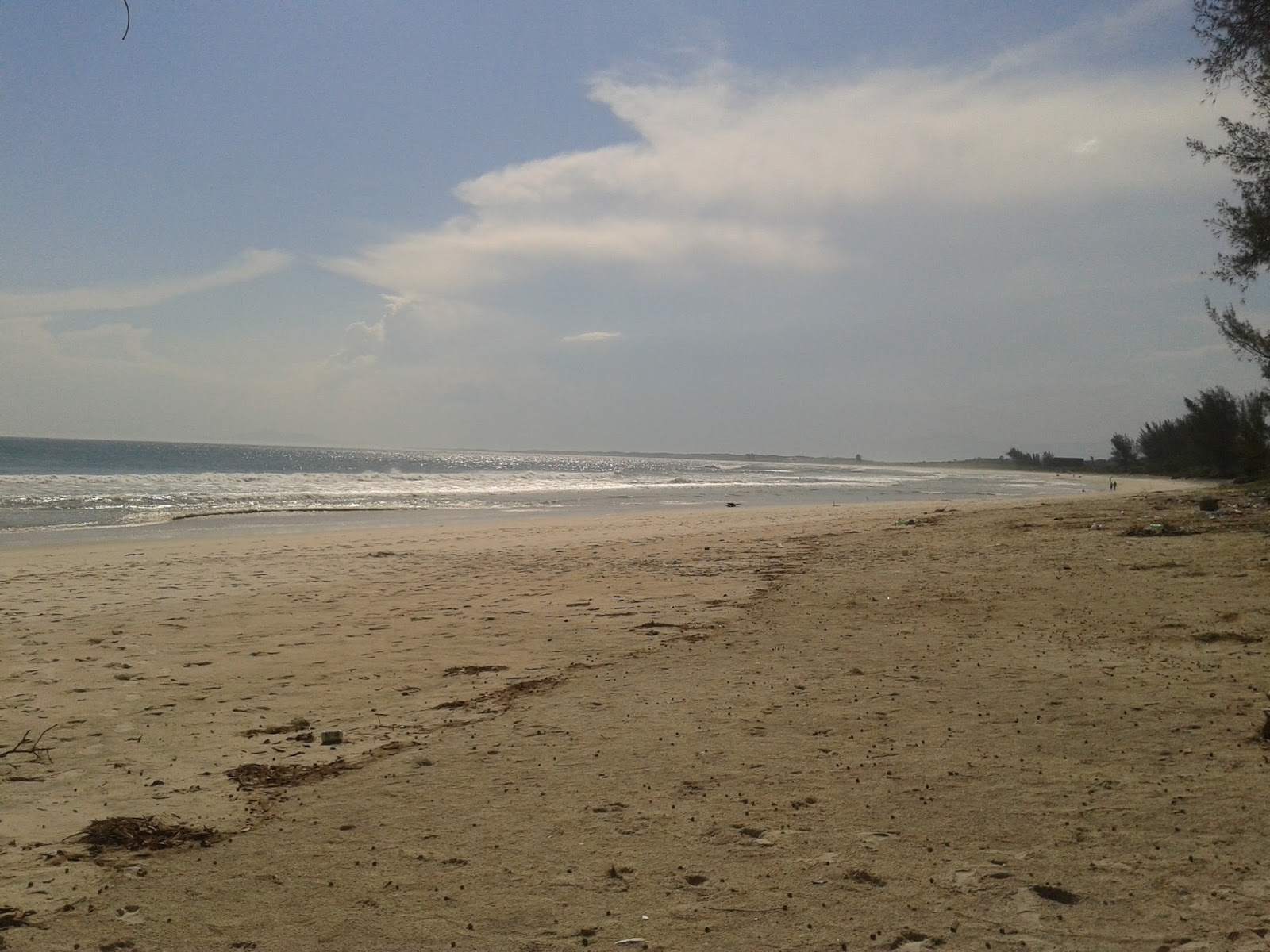Uma Carioca no Rio de Janeiro: Passeio na Restinga de Marambaia