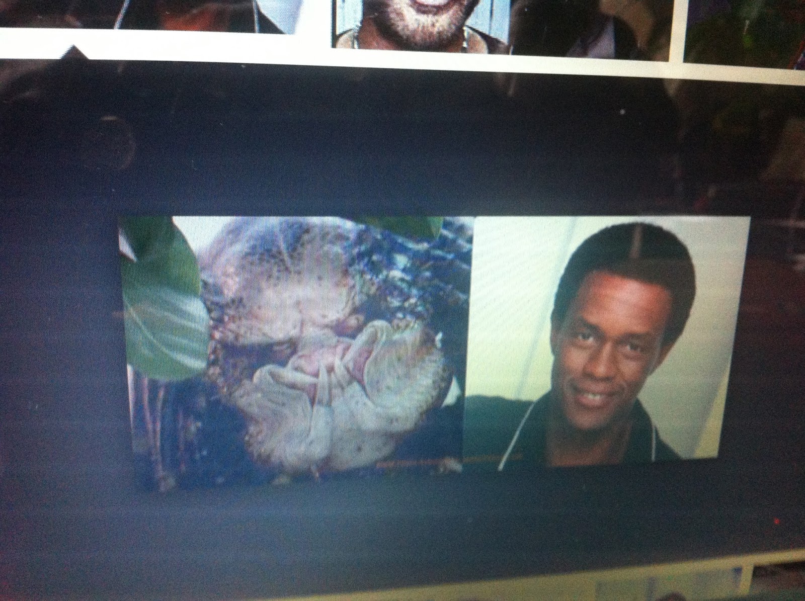 THE BLACK SOCIAL HISTORY:: BLACK SOCIAL HISTORY : AFRICAN AMERICAN ...