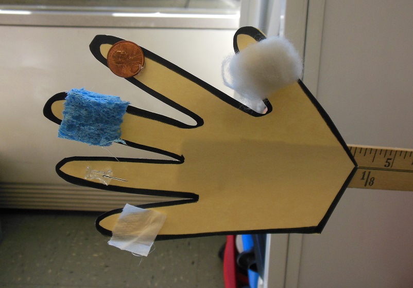 Kindergarten: Holding Hands and Sticking Together: The Five Senses: The ...