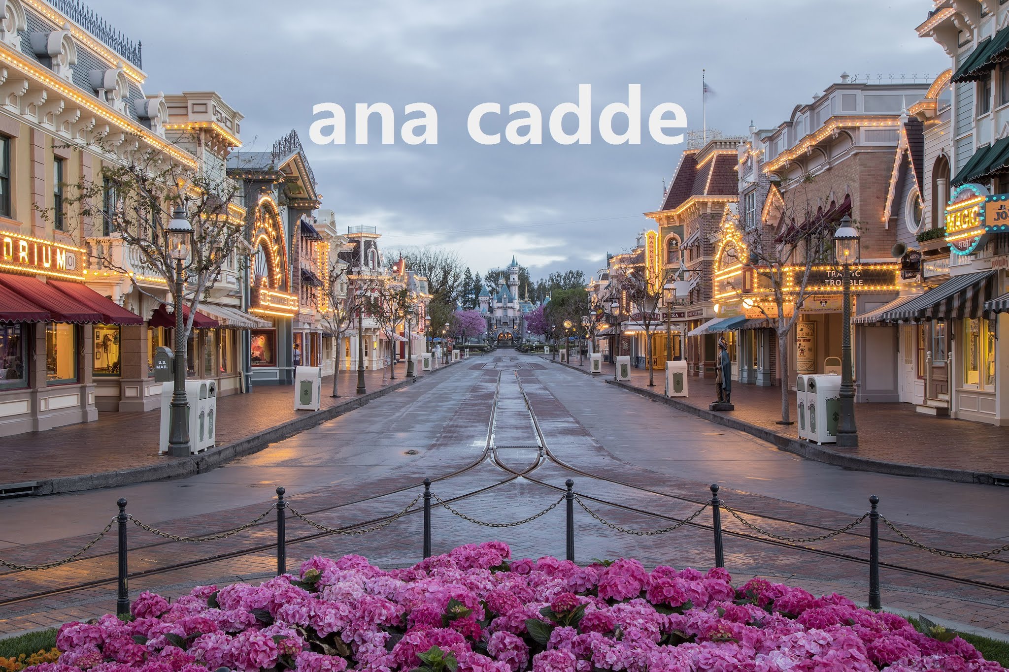 ana cadde - BilginCin