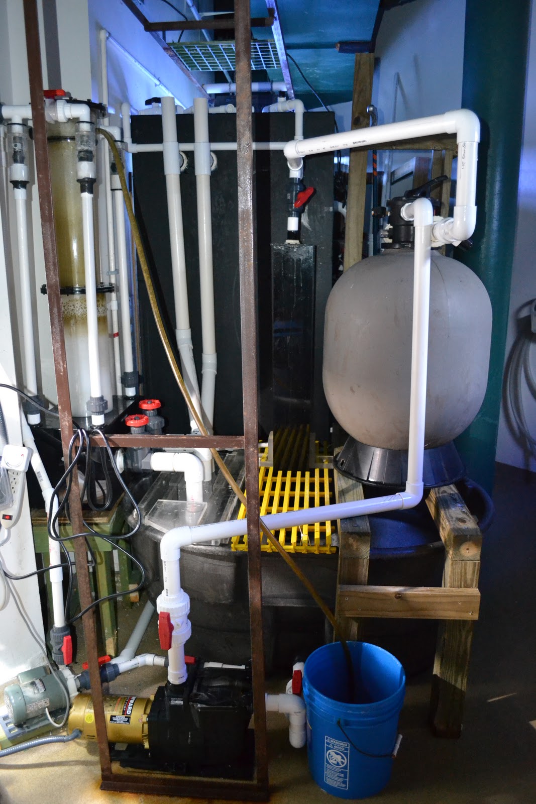 Virginia Living Museum | Reef tank modifications | Virginia Living Museum