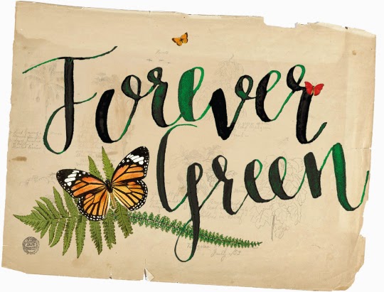 BlueMoon Scrapbooking: What's New!