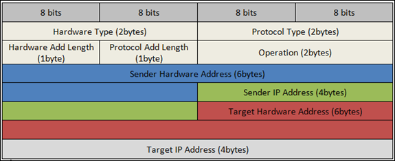 Networking And Scripting