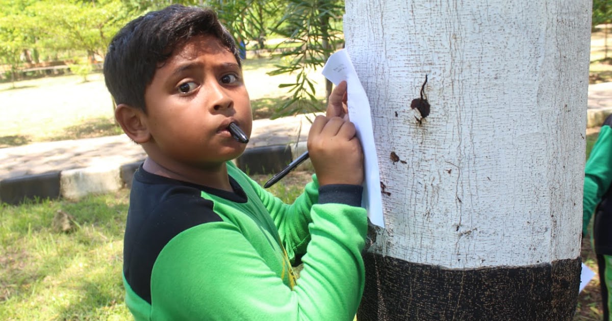 SDIT Ulul Albaab Weleri