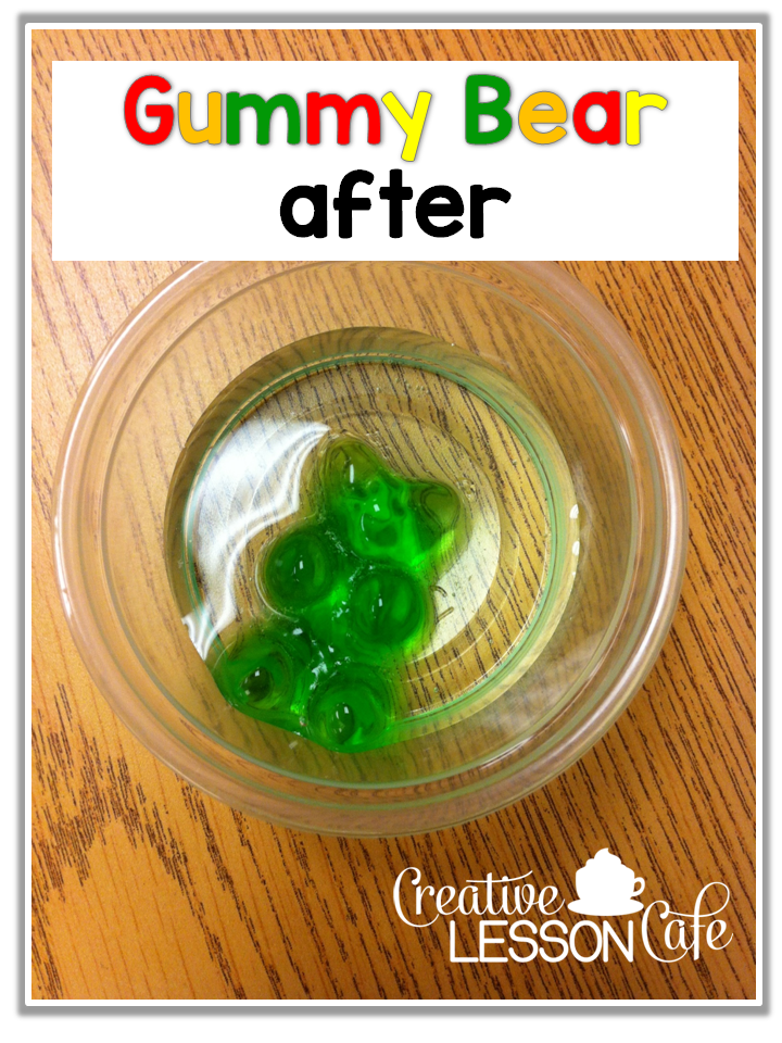 Creative Lesson Cafe: Sweet and Simple Science! Gummy Bears Experiment