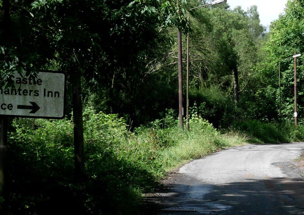 My Daily Walk: Lochan Spling, Aberfoyle