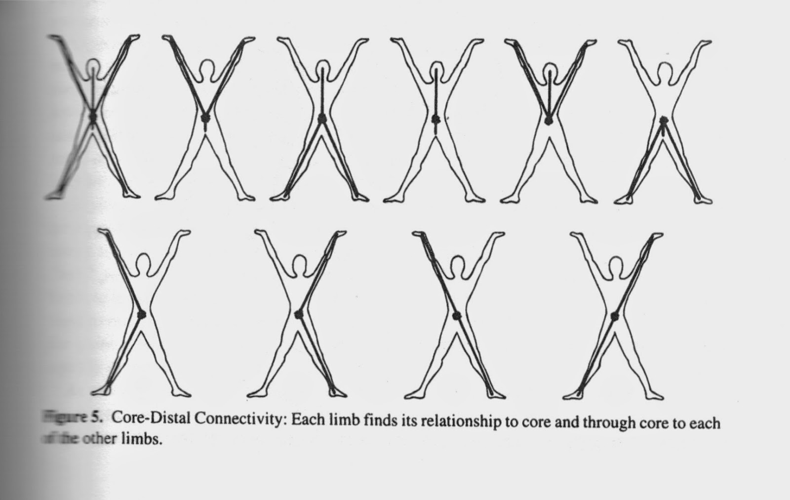 Movement- performance course Northumbria: Core-distal connectivity.