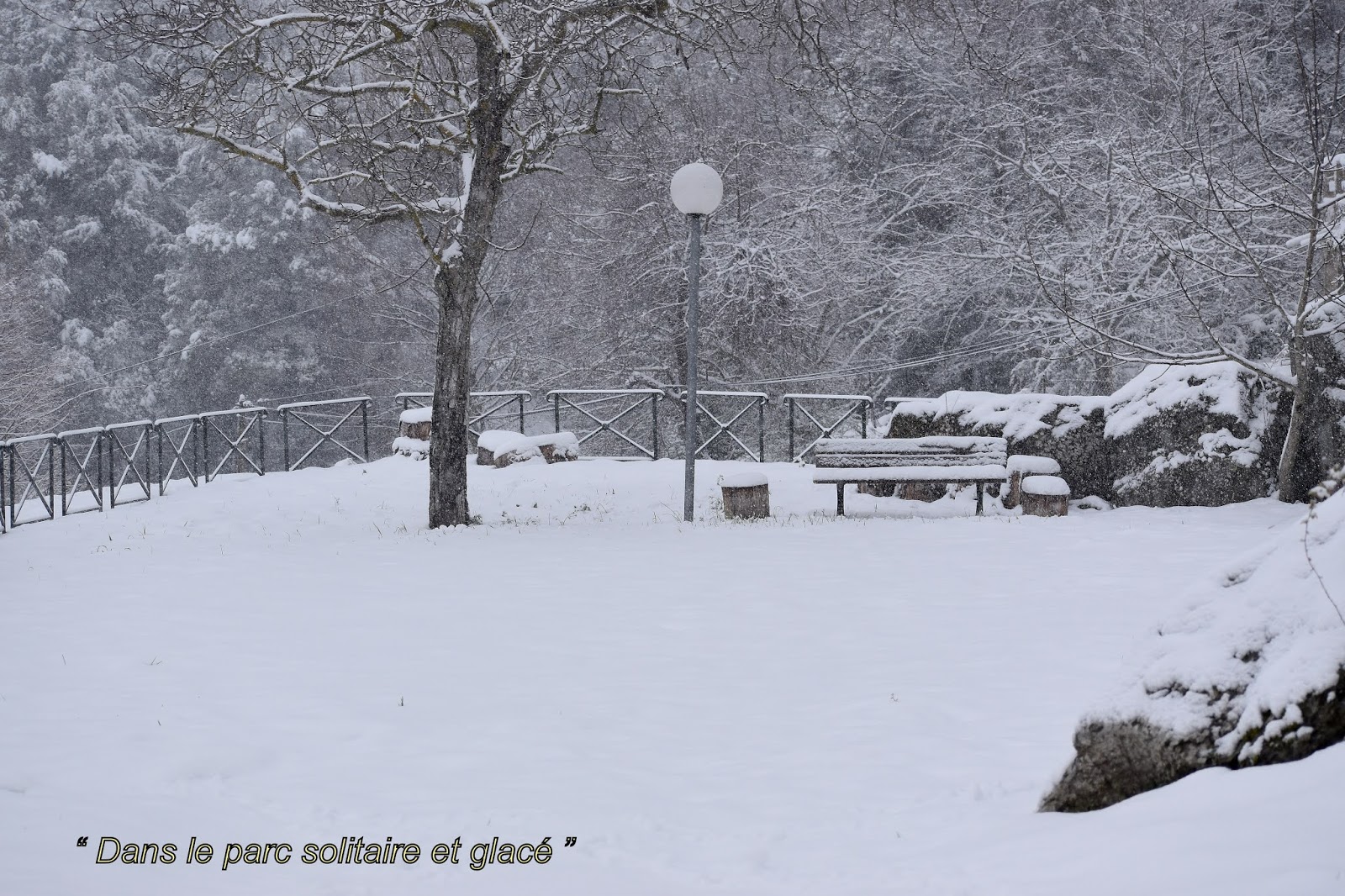 VOCE DI RUTALI... è d'altrò: " Tombe la neige ", personne ne viendra ce ...