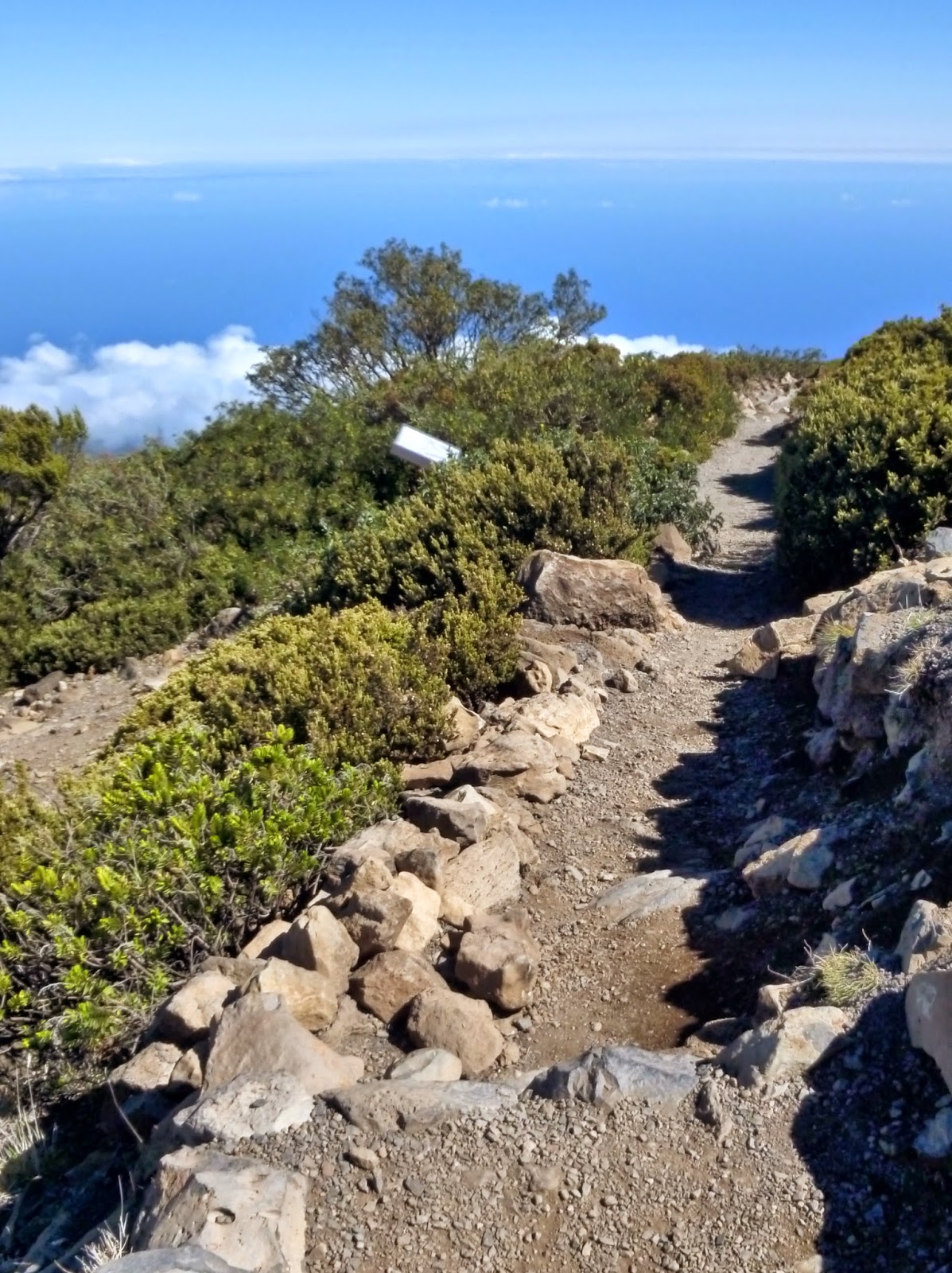 American Travel Journal: Leleiwi Overlook Trail - Haleakalā National Park