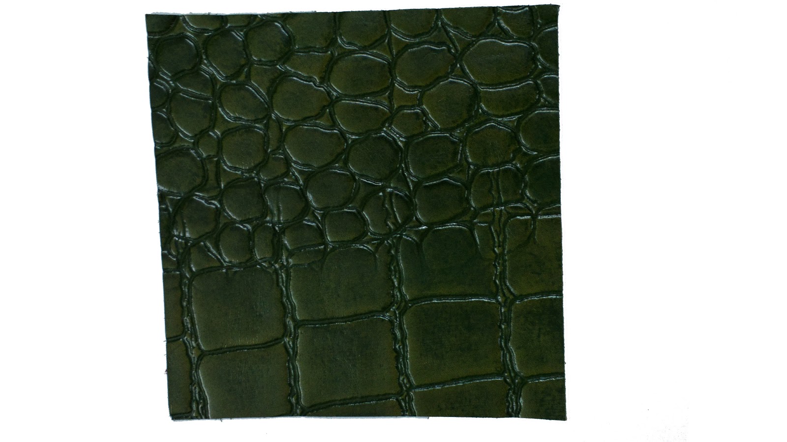 Bengal Reptile Exporting Co(1958)Pvt.Ltd.: CROCO Print Big Size